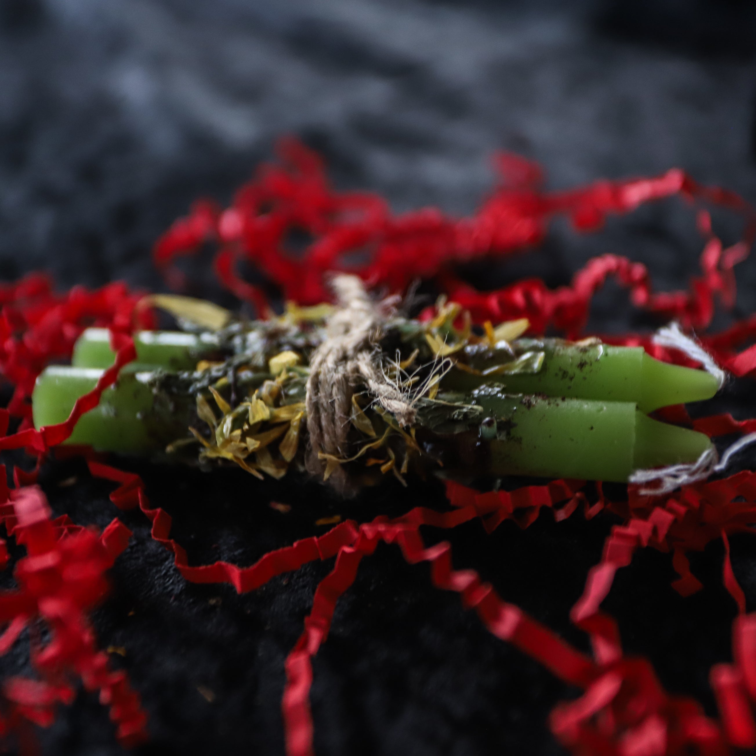 Inky Cap Coven – The Inkwell Emporium